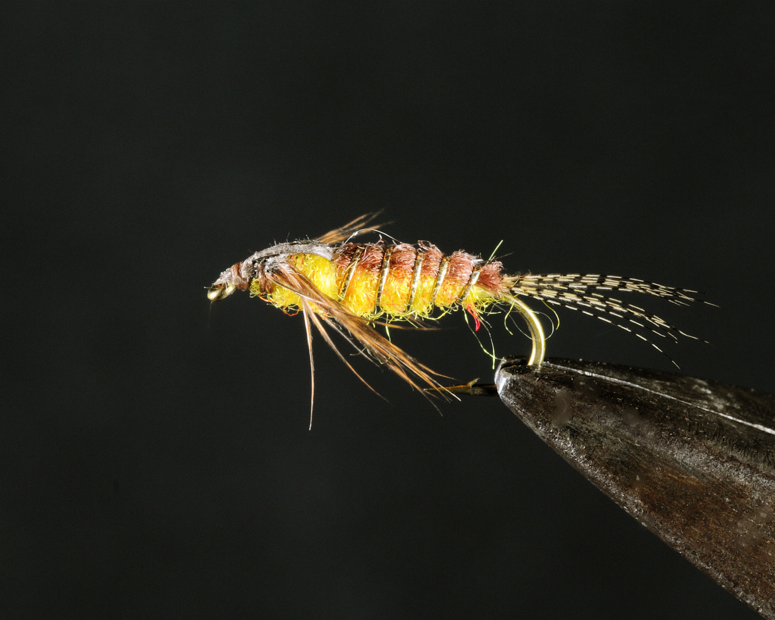 Dr. Ernest G. Schwiebert