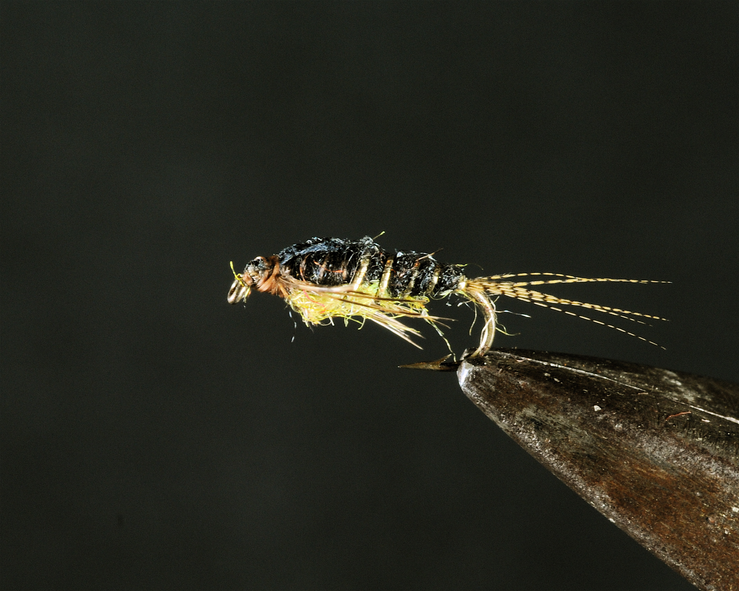 Dr. Ernest G. Schwiebert