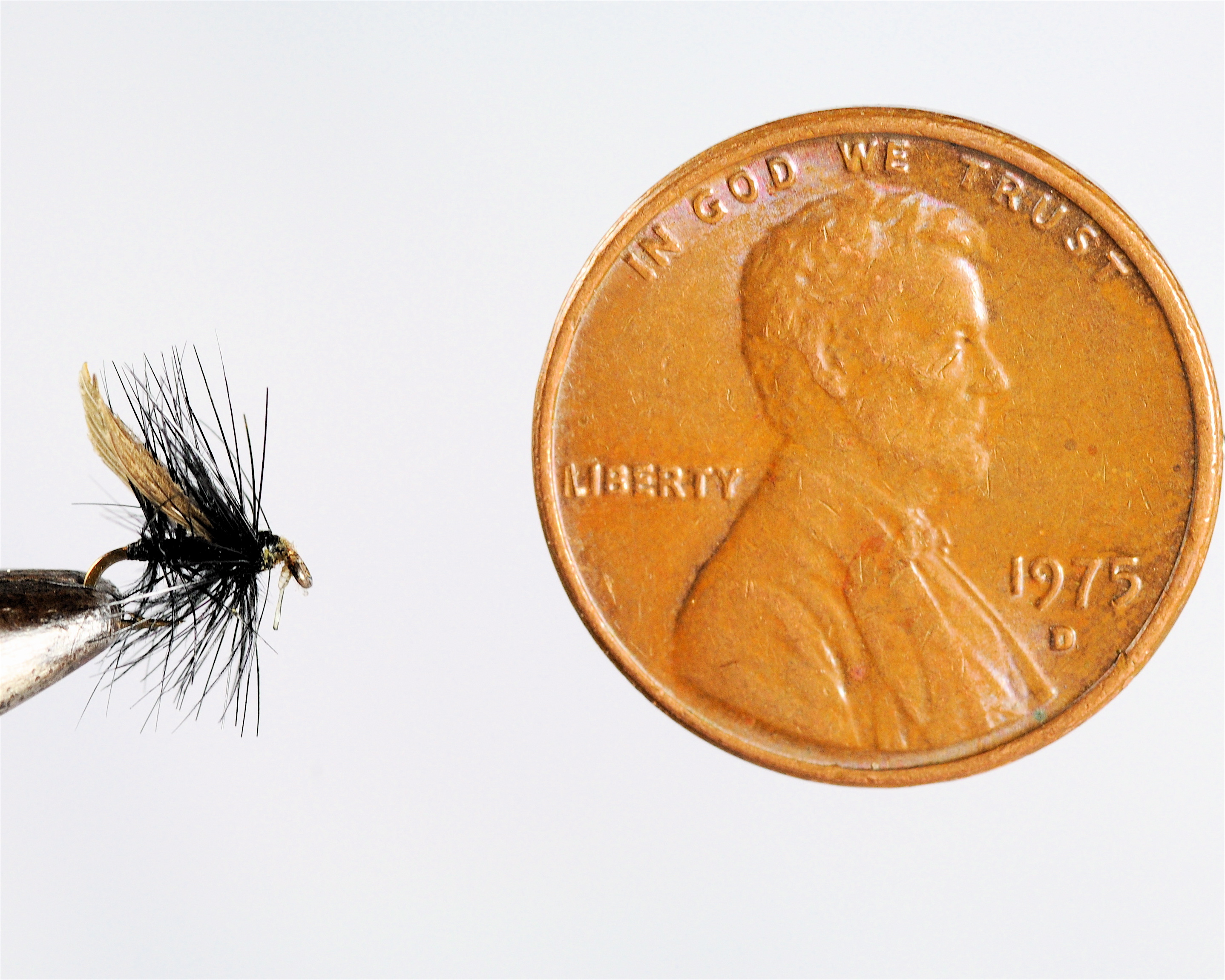 Dr. Ernest G. Schwiebert