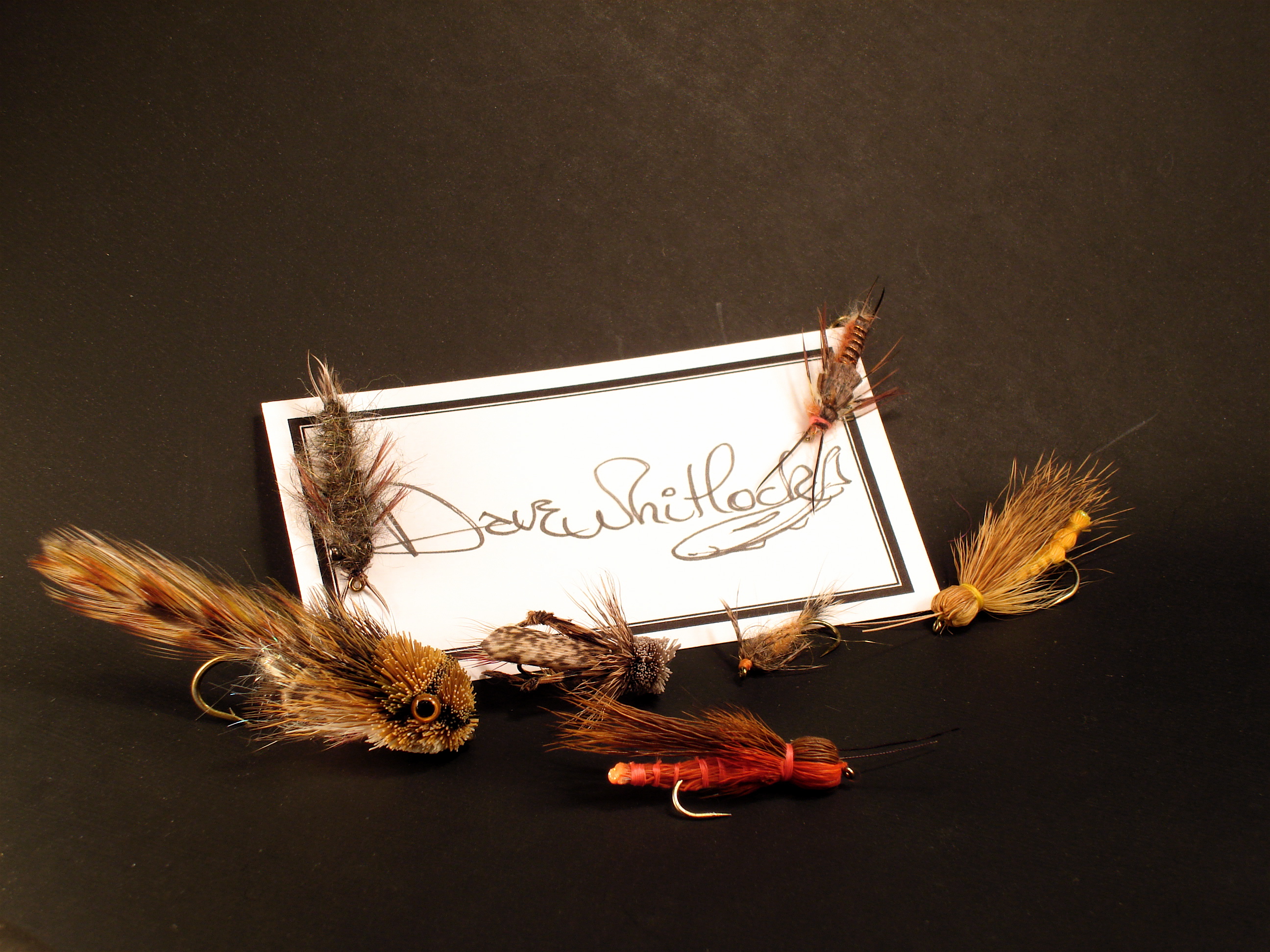 Other American Tyers